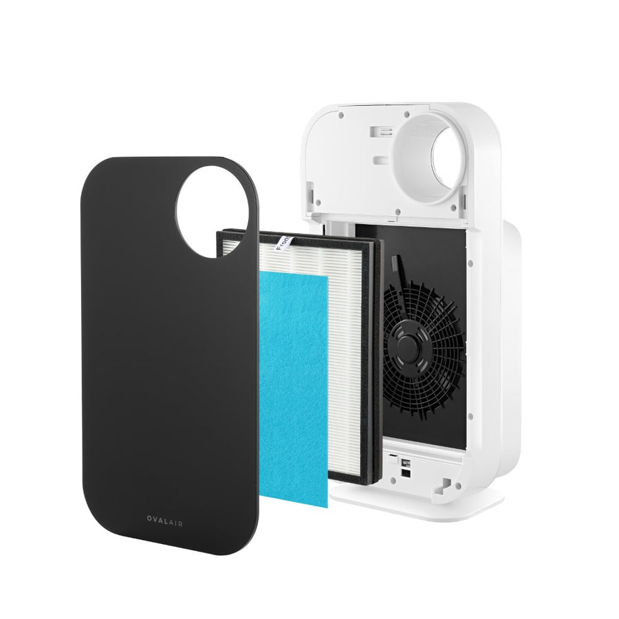 Eyely | Quality Rugs | Lighting | Home Decor & More